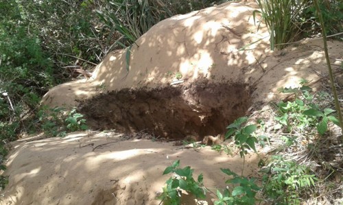 Mistério: Covas abertas são encontradas em território indígena, em ...