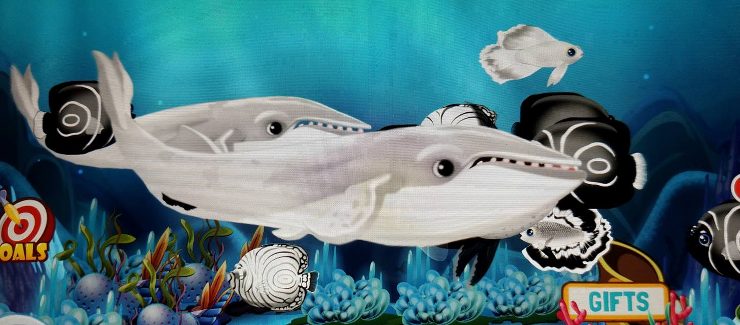 Fish Adventure Seasons Guide: January 2017