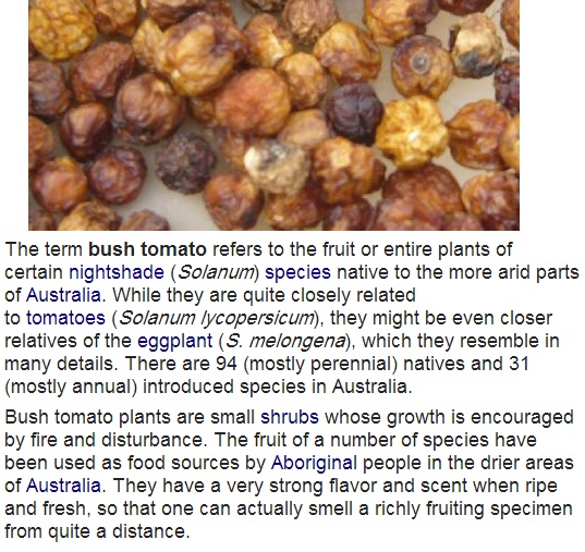 What Is Bush tomato
