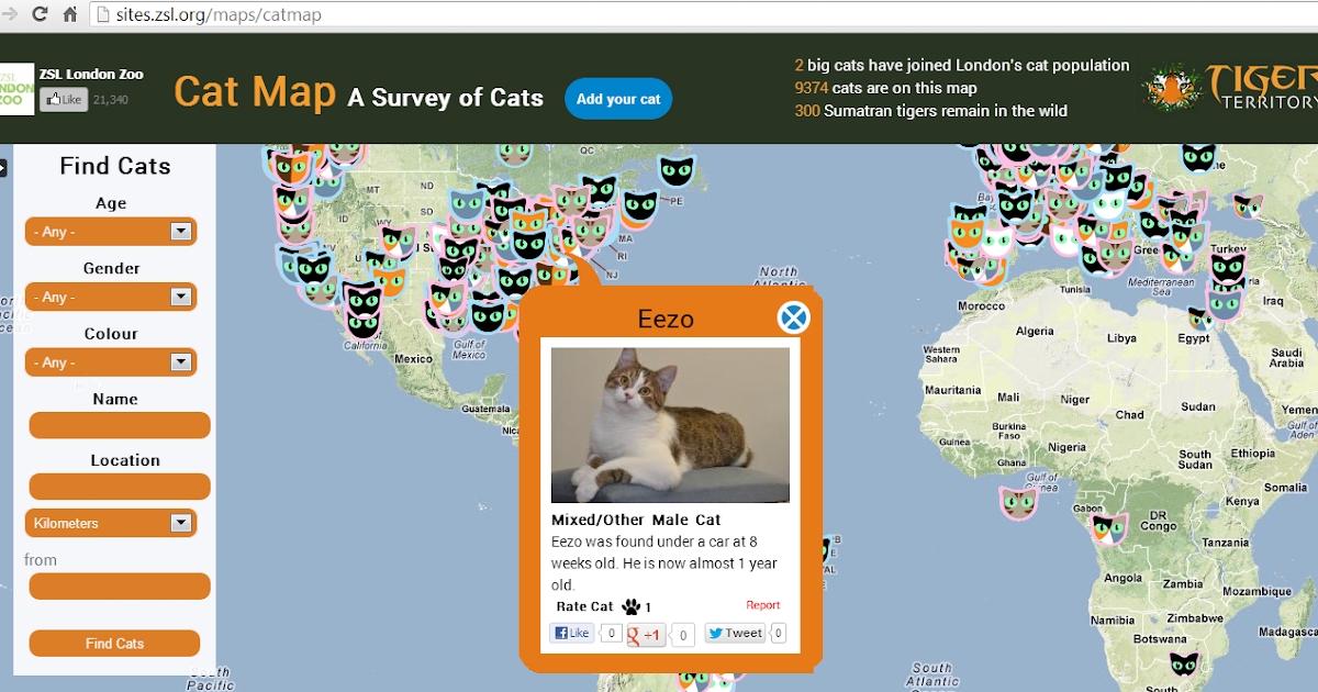 Hella Heaven: Add your cat at the world cat map