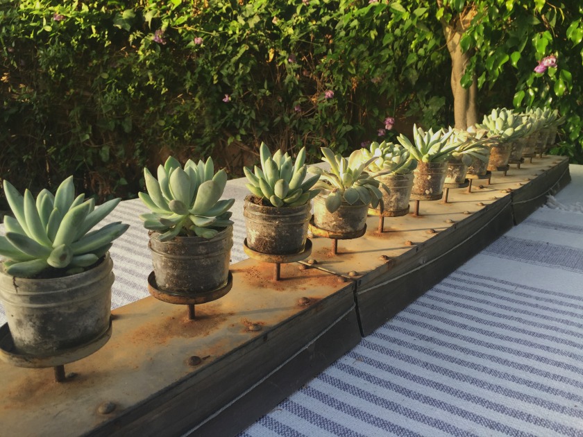 Tamera Beardsley: Backyard Bliss