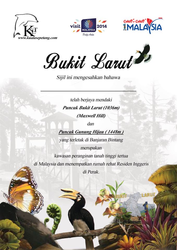 KUALA SEPETANG ECO TOURISM Matang Mangrove Forest Reserve Tour, Bird ...