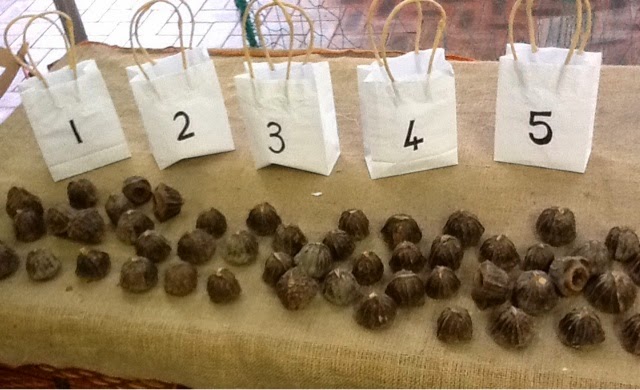 An idea on Tuesday: Maths Ideas