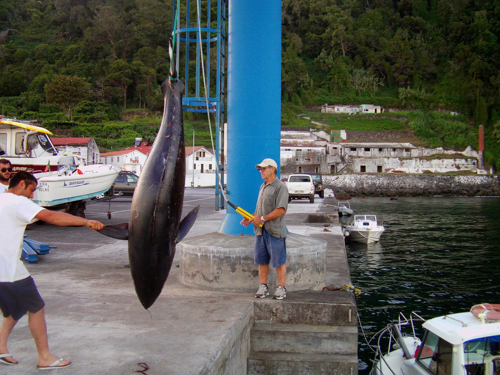 PORTO DA CALHETA: Grande Pescaria do Noah