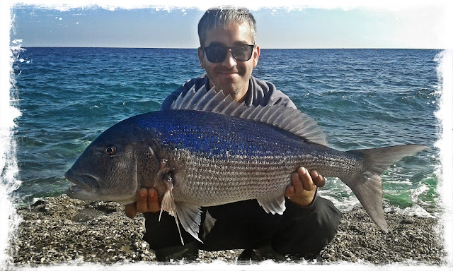 Fishing Dreams: Una de Dentex