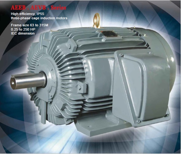 cv dwi lestari: TECO Induction Motor