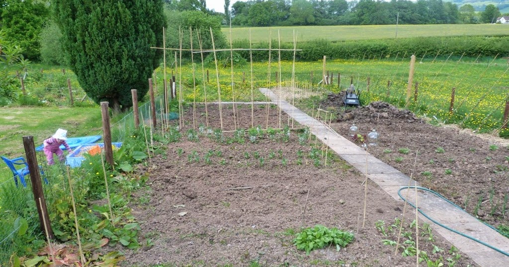 An English Homestead: The Veg Patch - Divide And Conquer?