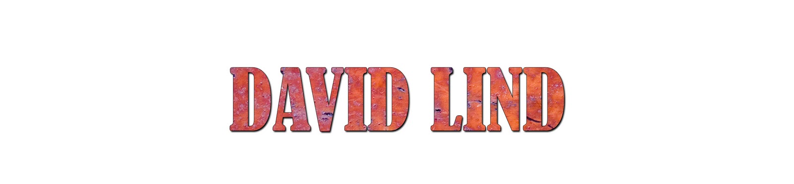 Davids DatorbildsBlogg