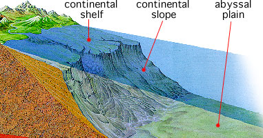 Morfologi Dasar Laut : Tepi Benua, Cekungan Samudera dan Sedimen Laut