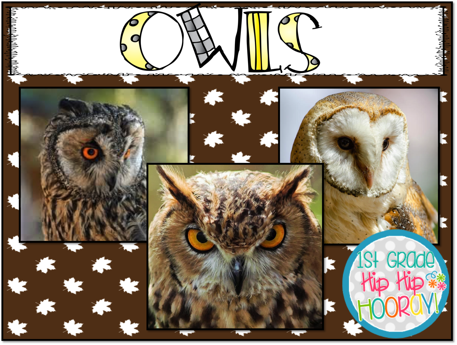 1st Grade Hip Hip Hooray!: Owls...Informational Text, Literature, and ...