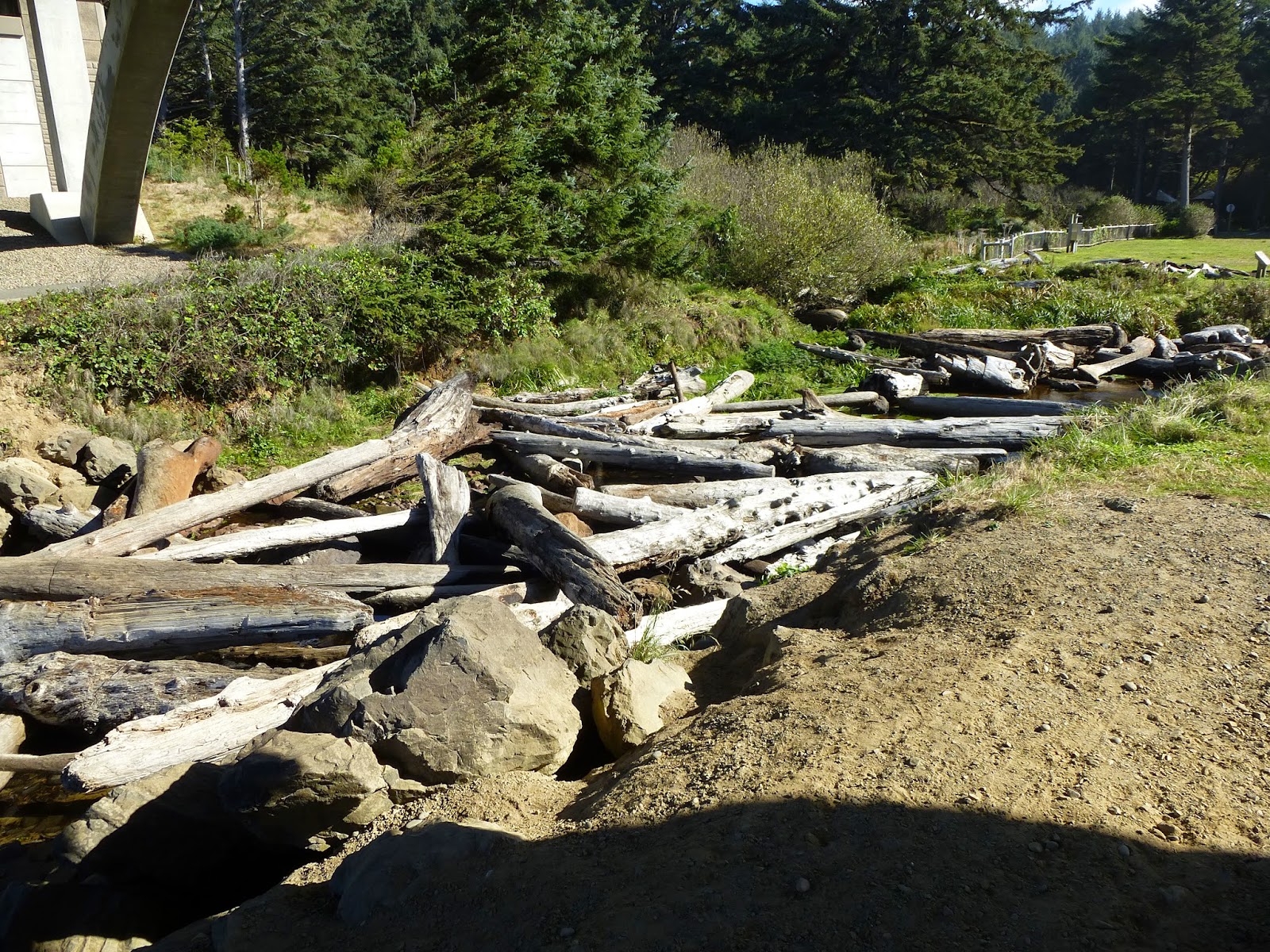 Hiking Oregon: Oregon Coast Romantic Rock Hounding