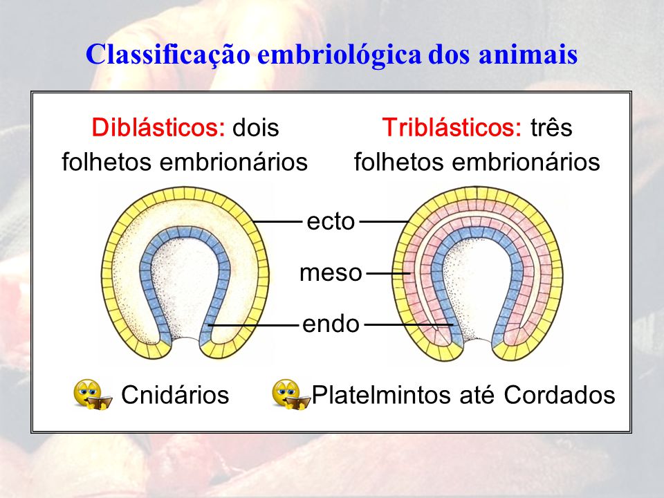Introdução à Zoologia