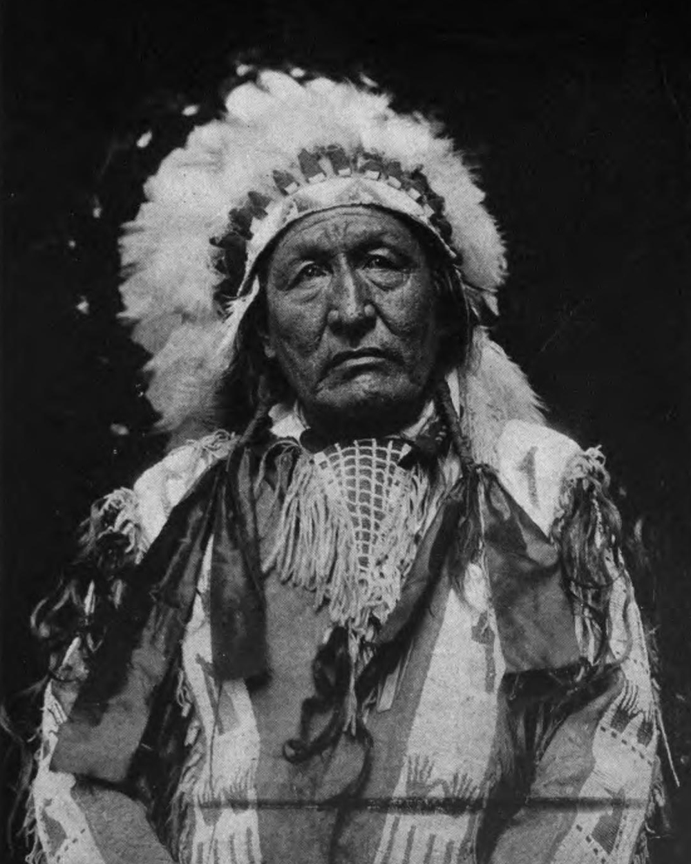 MotArt: Red Armed Panther