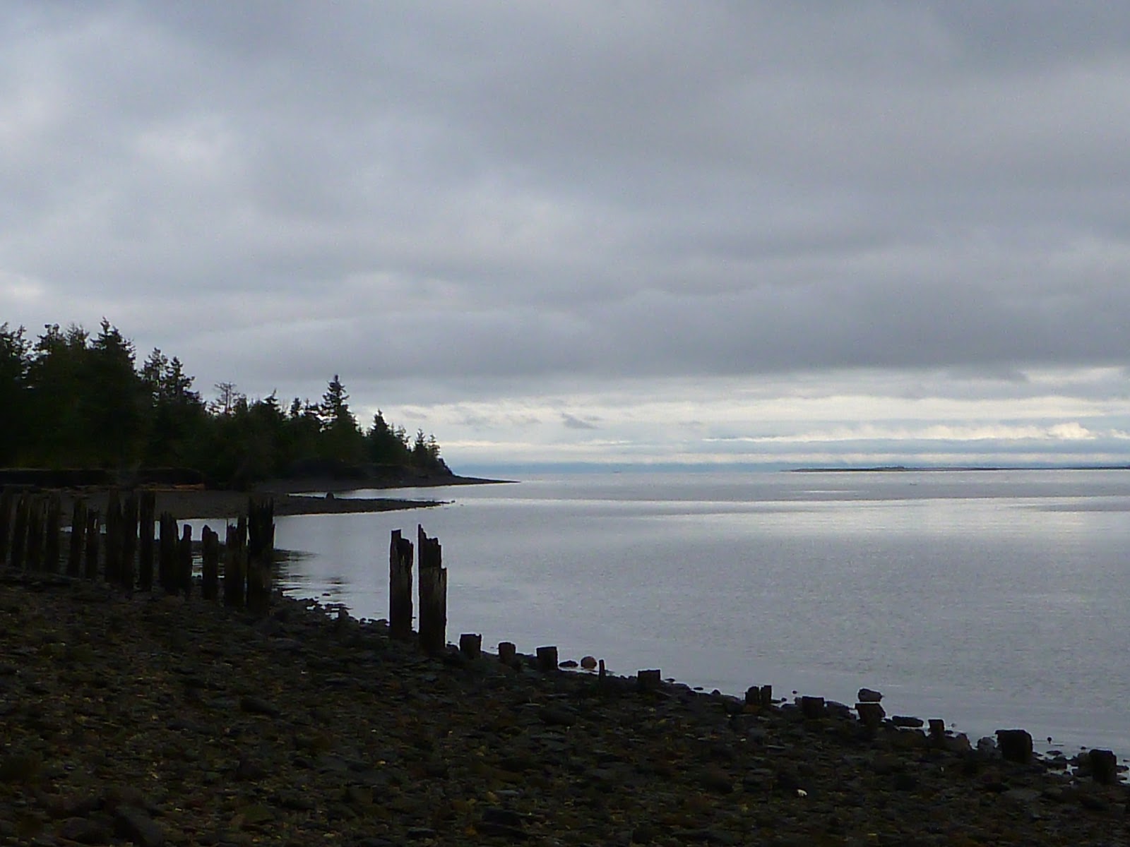 the cynical cyclist: Adventure 50- Union Bay Coal Hills