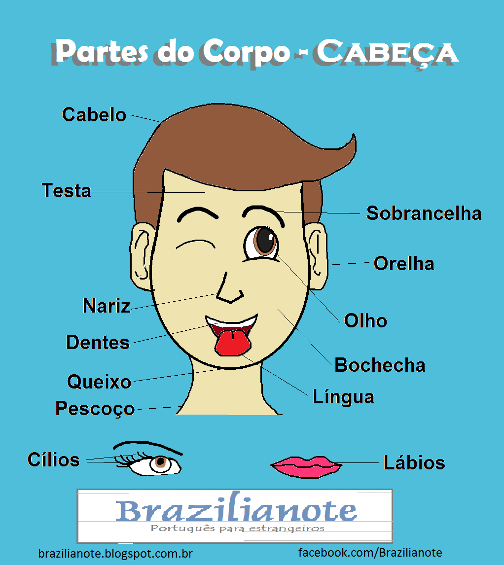 Partes do corpo - Parte 1: Cabeça