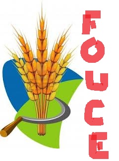 A cadeira máxica: FOUCE