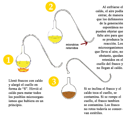 TEORÍA DE BIOGENESIS: TEORÍA DE BIOGENESIS