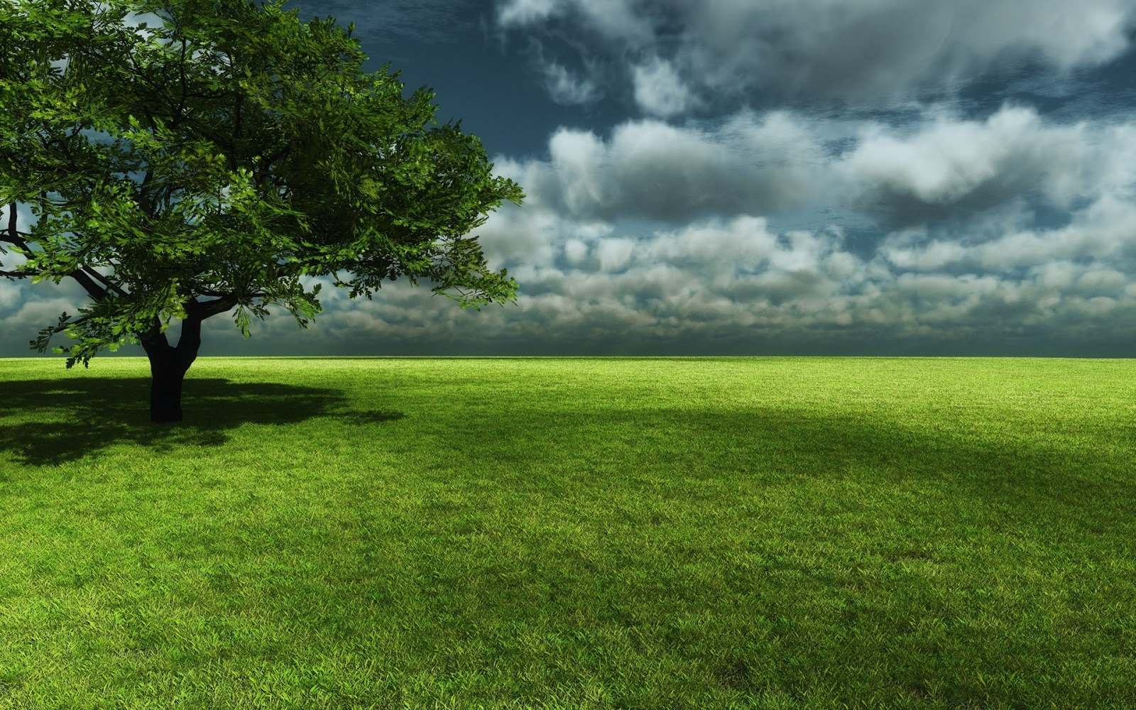 Fondo de Pantalla Paisajes Campo llano verde con nubes en el cielo ...