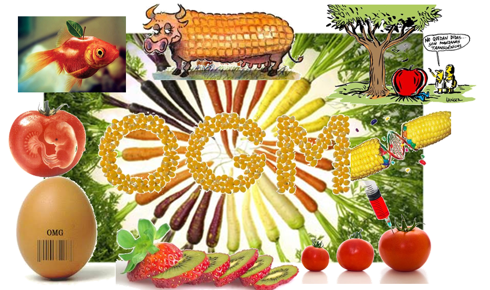 Biotecnología y Organismos Genéticamente Modificados: OGM en nuestras vidas