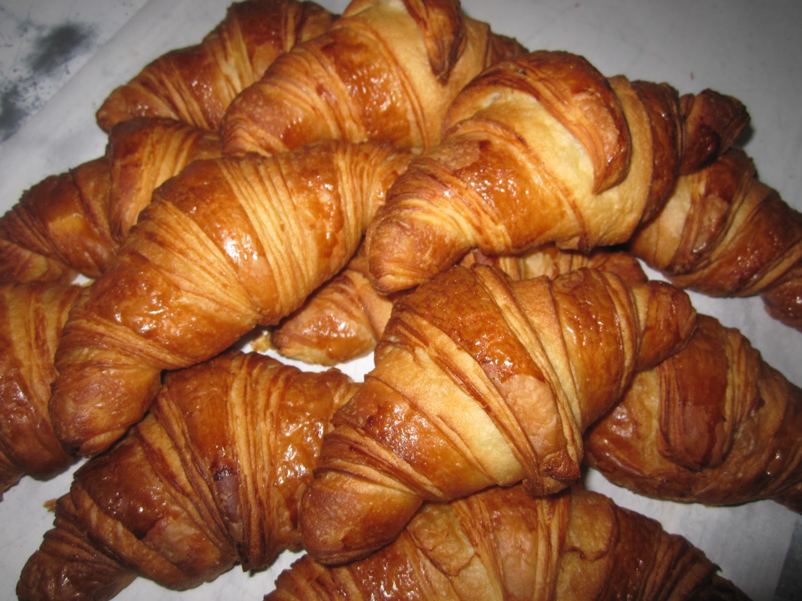 Pastelería y Panadería Francesa Artesanal L'OPERA: Fotos, fotos y mas fotos