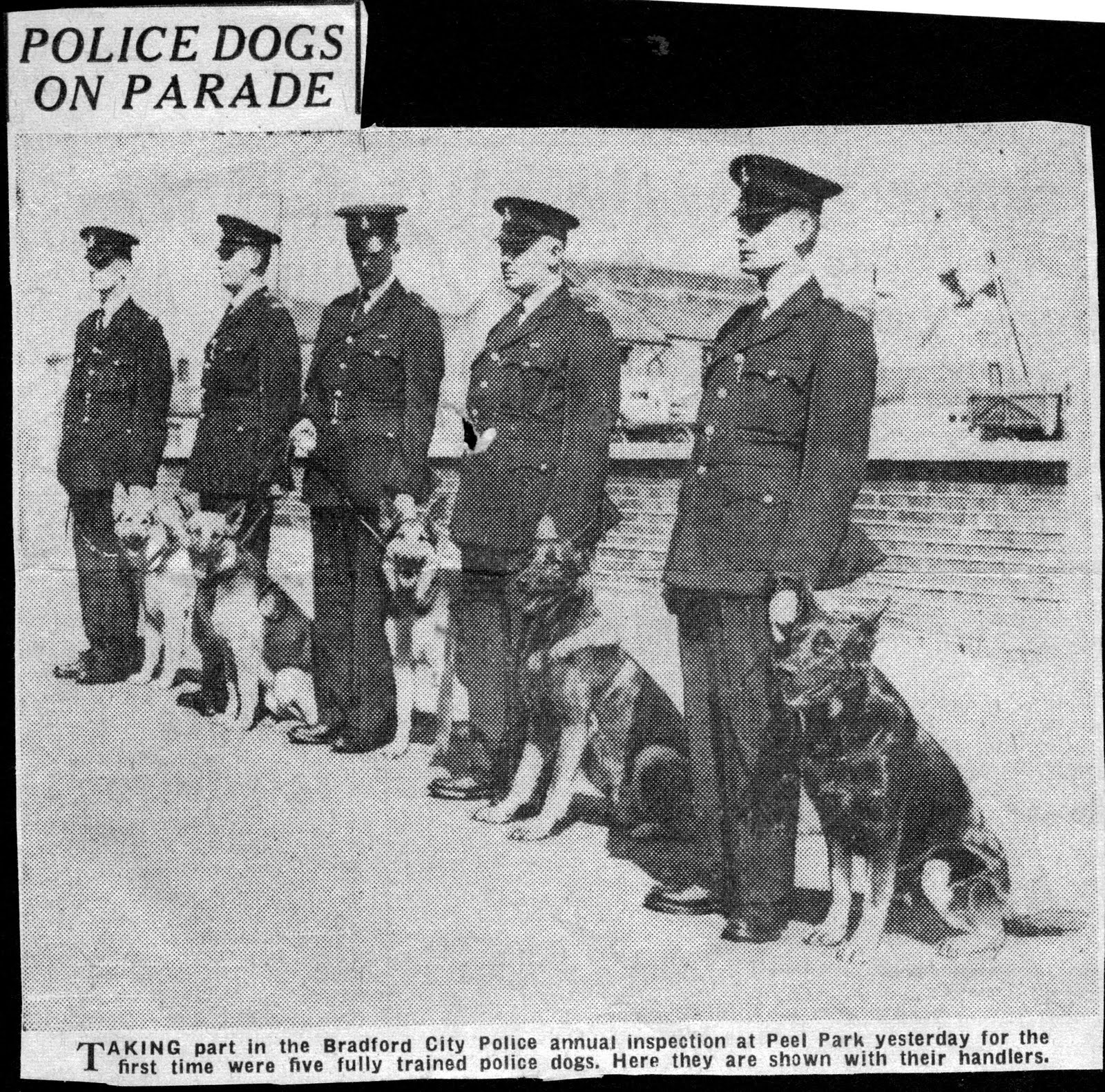 UK Police Dog history: Bradford City Police Dogs 1961-1974