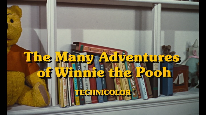 The New Adventures of Winnie The Pooh: The Many Adventures of Winnie ...