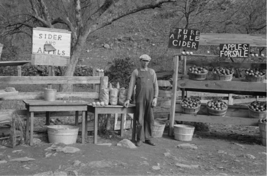 The Great Depression: American Hardship in the 1930s