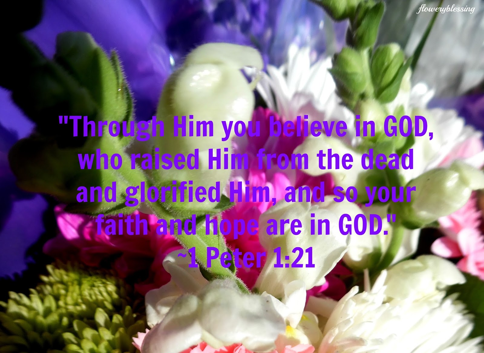 Flowery Blessing: "Through Him you believe in GOD, who raised Him from ...