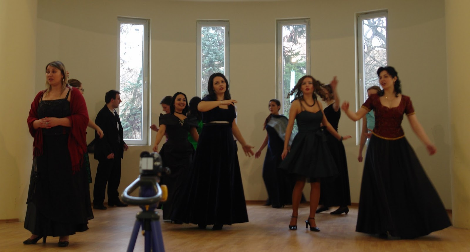 OPERA ORADEA: May 2009