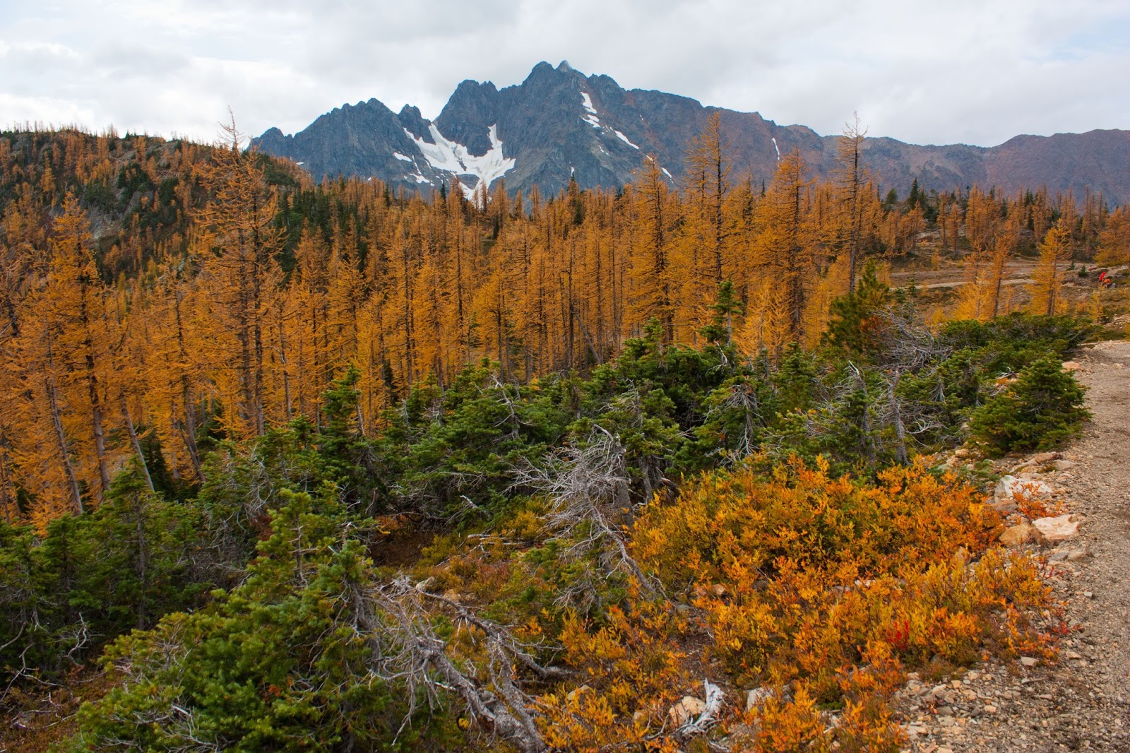 Hiking Shenandoah: Grasshopper Pass