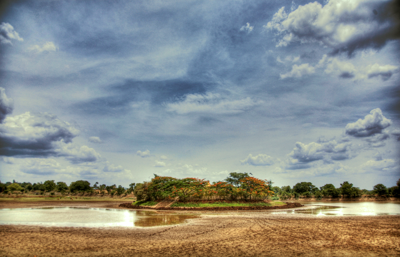 Tamilnadu Tourism: Javadi Hills, Thiruvannamalai