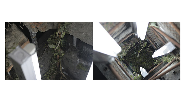 DOMÉSTICA PERCEPTUAL: PROPUESTA DE LÍNEA DE PRODUCCIÓN ARTÍSTICO-VISUAL