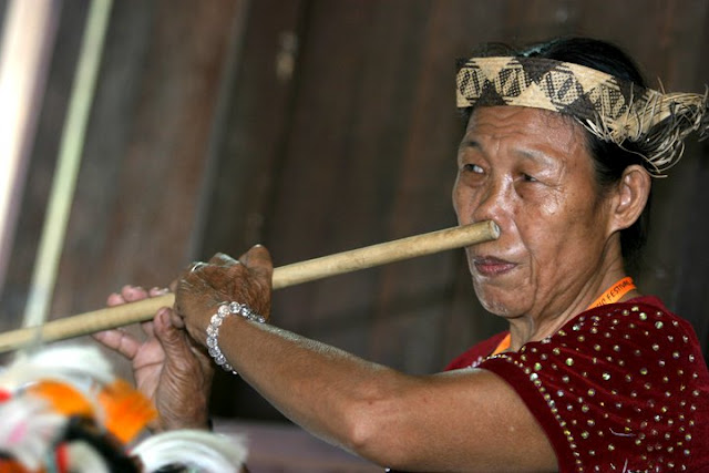 Cats City Hornbill Land: THE PUNAN