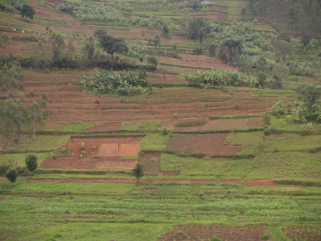 Susie and Chris in Rwanda: Views of Kigali and Butaro countryside