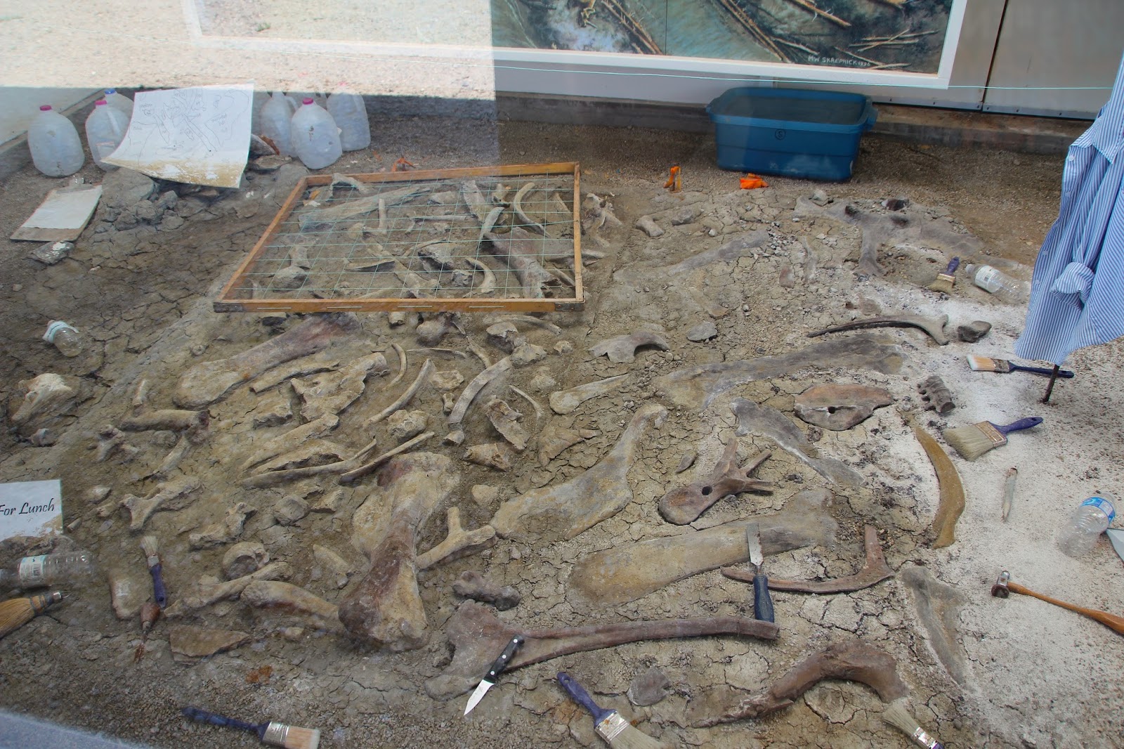 Get Me Outdoors: Dinosaur Provincial Park