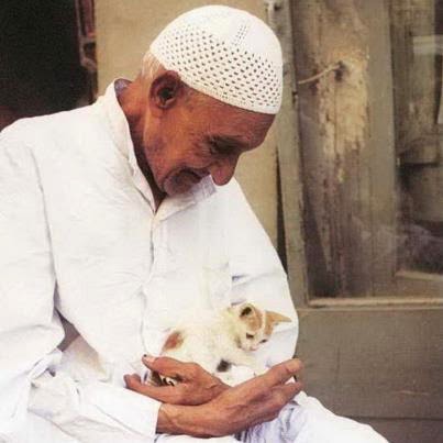 KEISTIMEWAAN KUCING DALAM AGAMA ISLAM ~ Hello