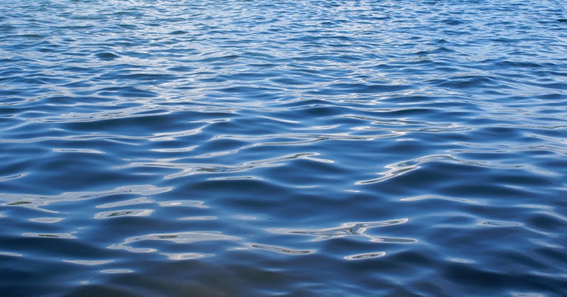 'ZIEN EN WETEN': DRACONE. WAT IS DAT?