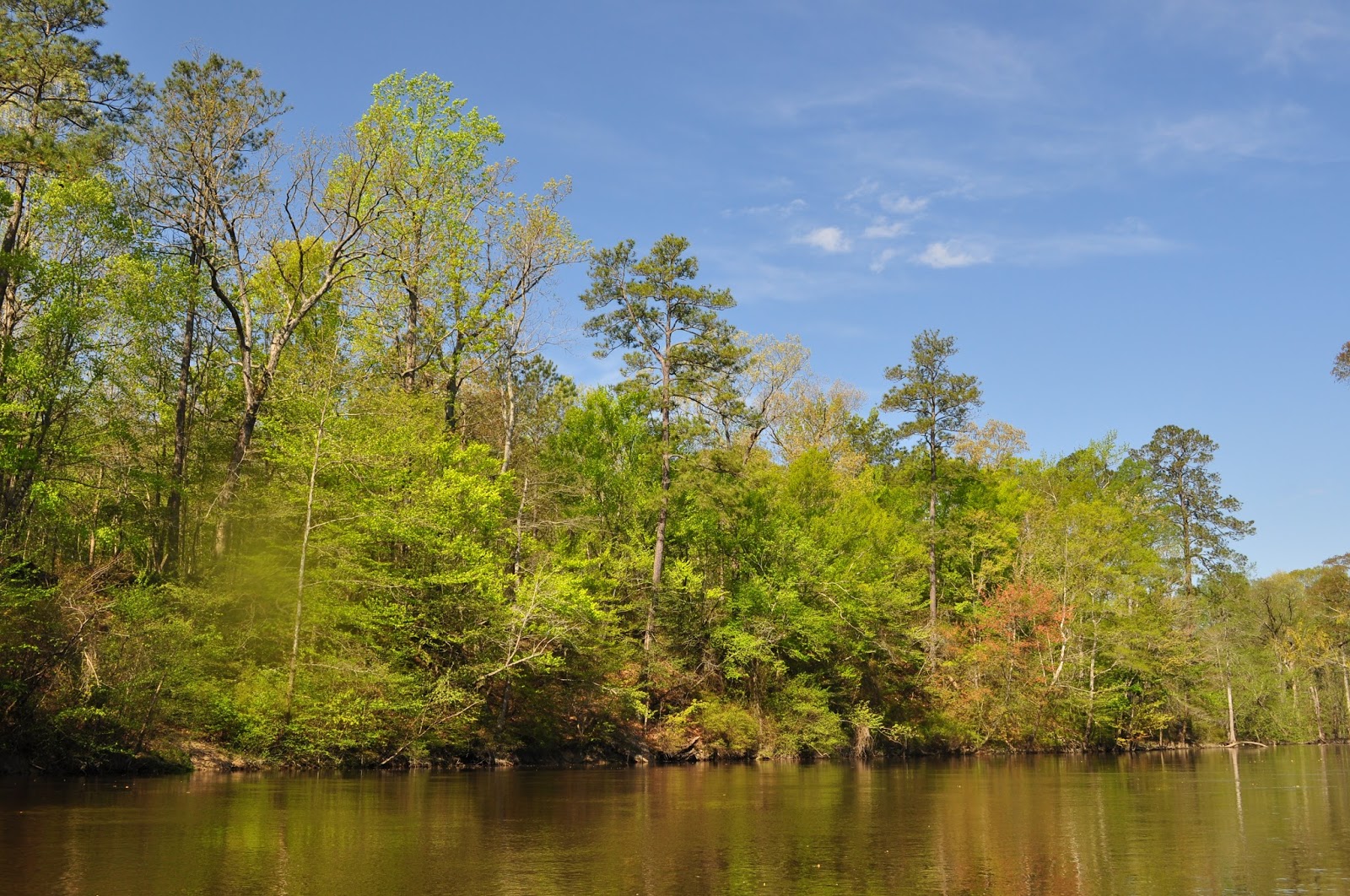 A Tidewater Paddler: Nottoway River - 4/18/15