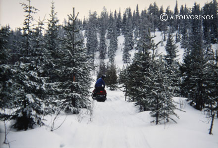 Paraísos del mundo: En la taiga del parque nacional ruso Paanajarvi
