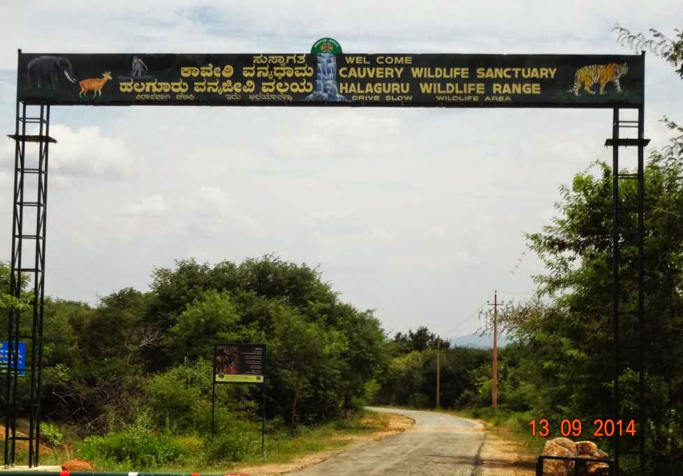 Muthathi - Ride through the forest 14/09/2014