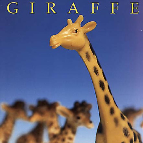 La Bible de la Westcoast Music - Cool Night -: Giraffe "Giraffe" (1999 ...