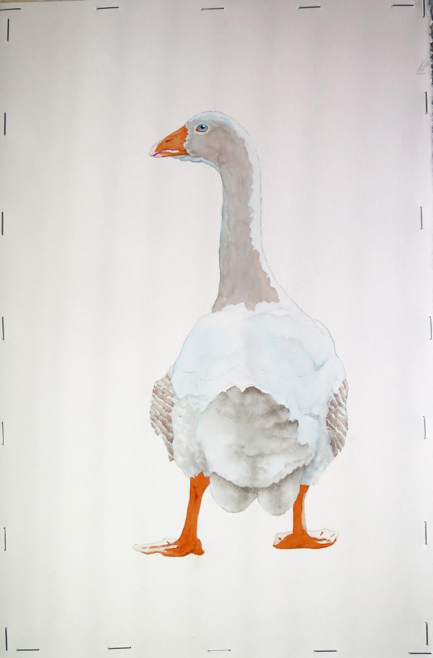 Studio at the Farm: A GOOSE OF A DIFFERENT COLOR - STEP BY STEP WATERCOLOR