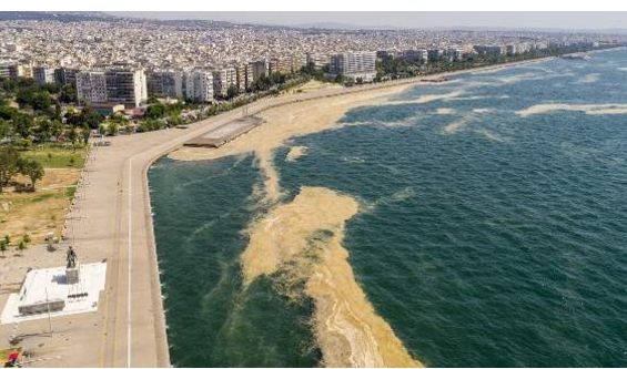 ΦΥΤΟΦΑΡΜΑΚΑ, ΛΙΠΑΣΜΑΤΑ ΚΑΙ ΑΣΤΙΚΑ ΛΥΜΑΤΑ... ΝΑ, ΤΙ ΠΕΡΙΕΙΧΕ Η ΓΛΟΙΩΔΗΣ ...