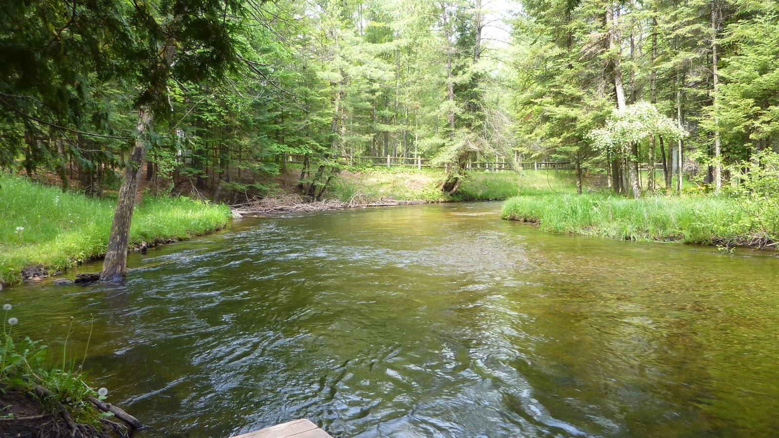 Paddling and Camping in the Midwest: The Boardman River - Michigan
