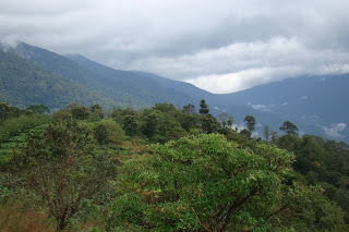 ROSE MALA, ROSEMALA TOURISM, ROSEMALA ATTRACTIONS, ROSEMALA HILL ...