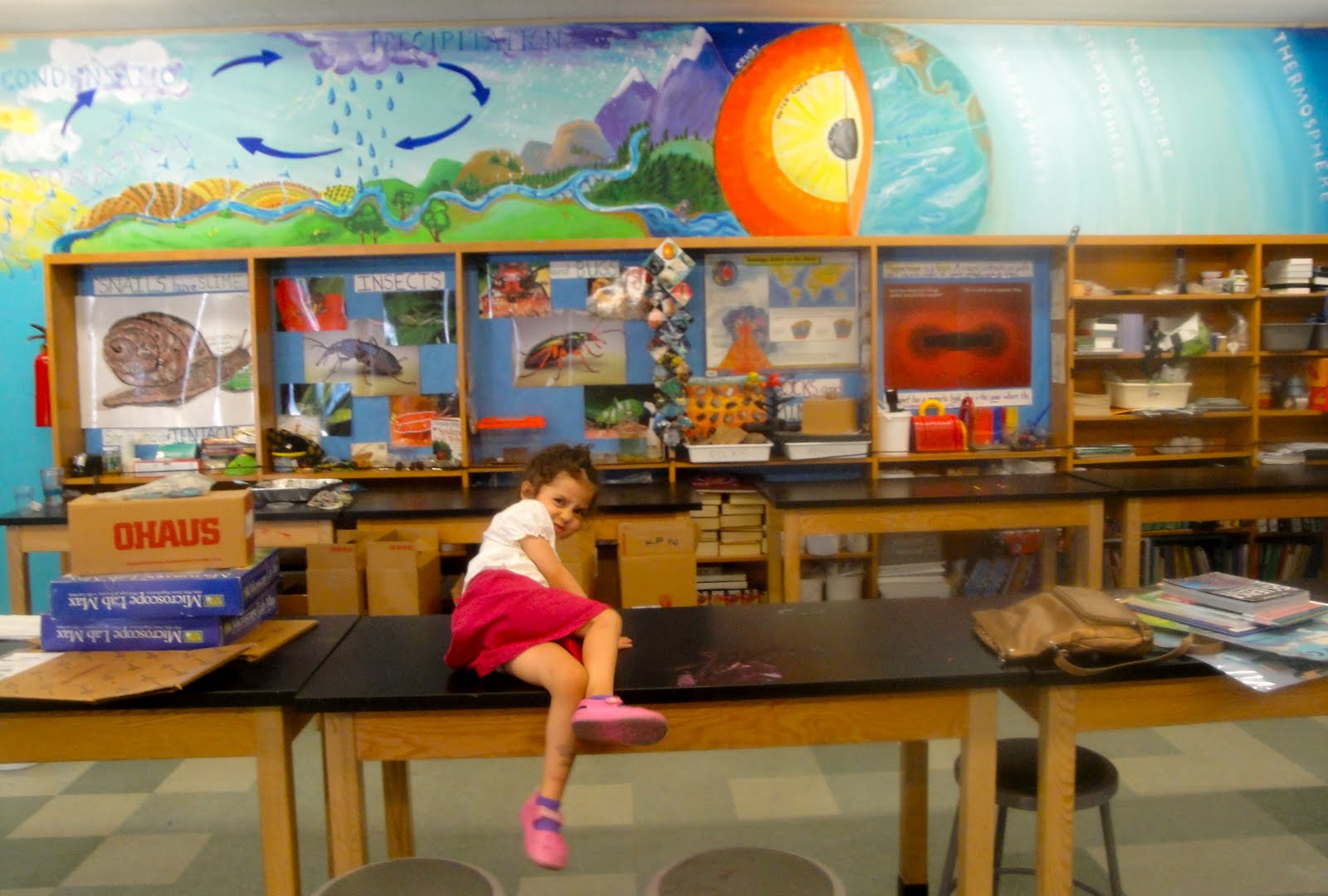 Lois's Art Blog: Natural Science Mural