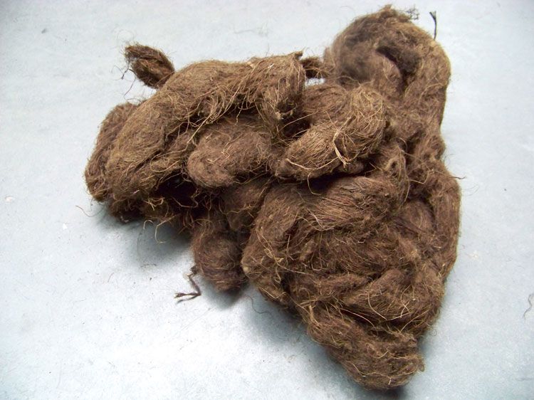 Western Fictioneers: Dr LEWIS SAYRE's 1862 TREATMENT FOR GUNSHOT WOUNDS