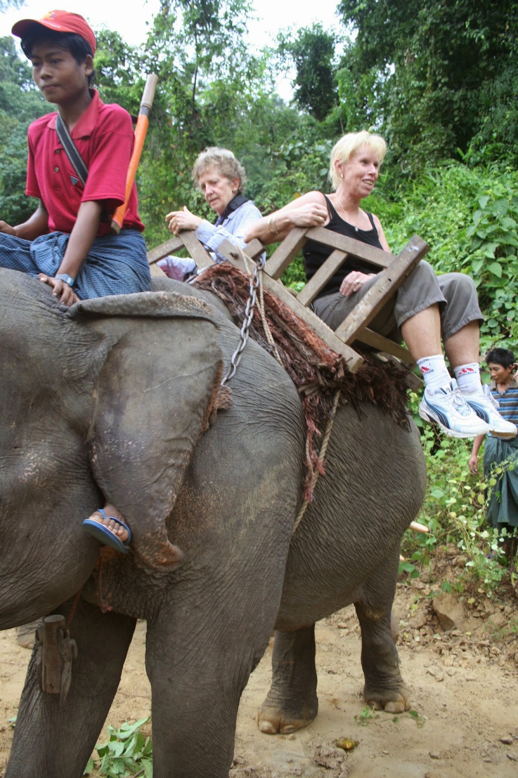 1000 Amazing Places: #683 Working Elephant/Elephant Worker's Camp ...