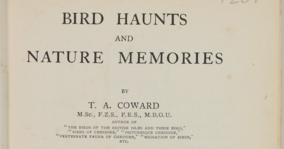 Curiouser and Curiouser: T.A. Coward and the origins of ‘jizz’?