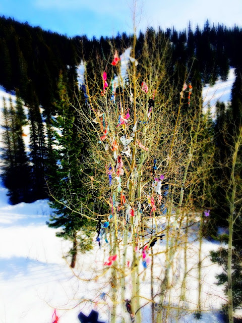 The Brundage Bra Tree